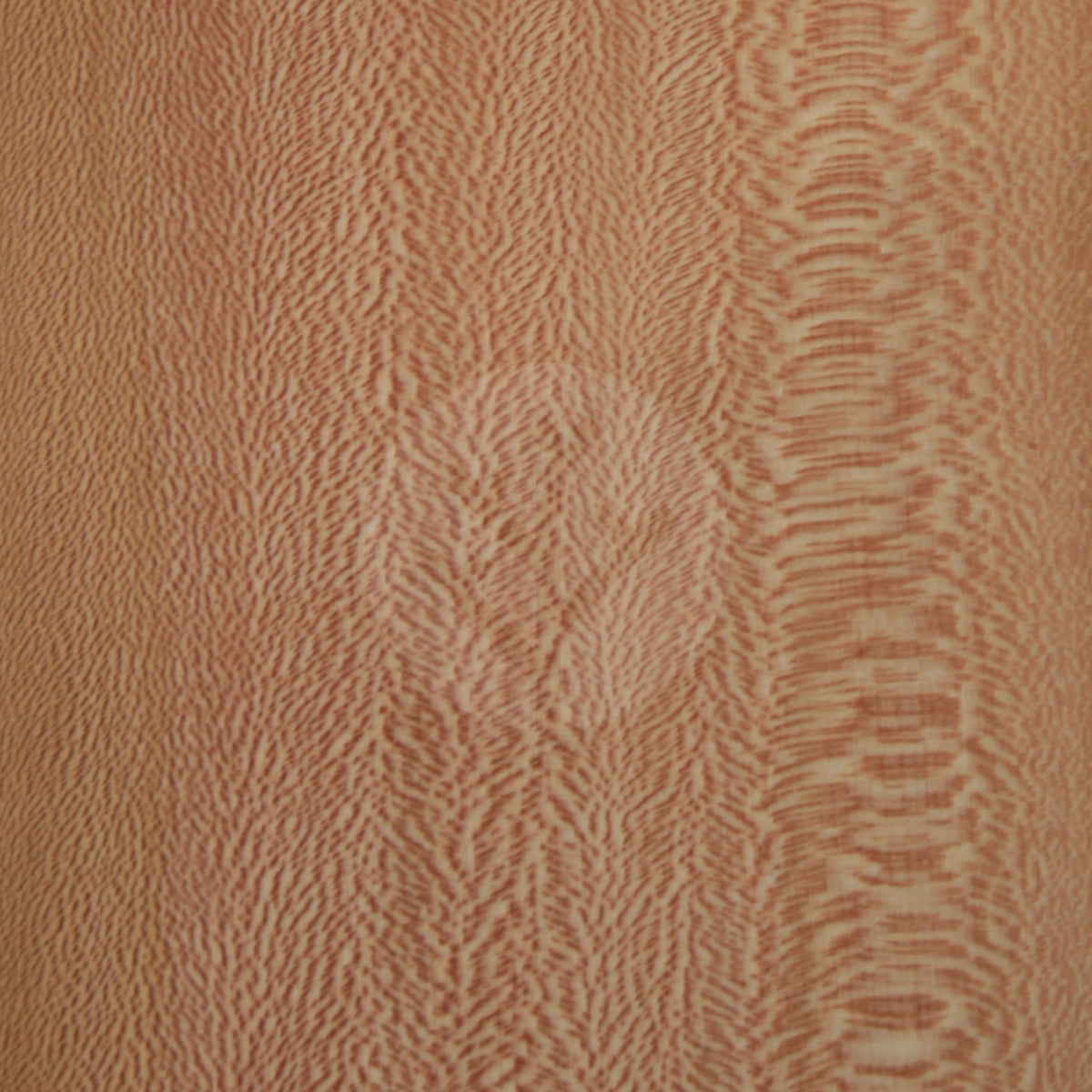 London Plane Tree Wood Veneer