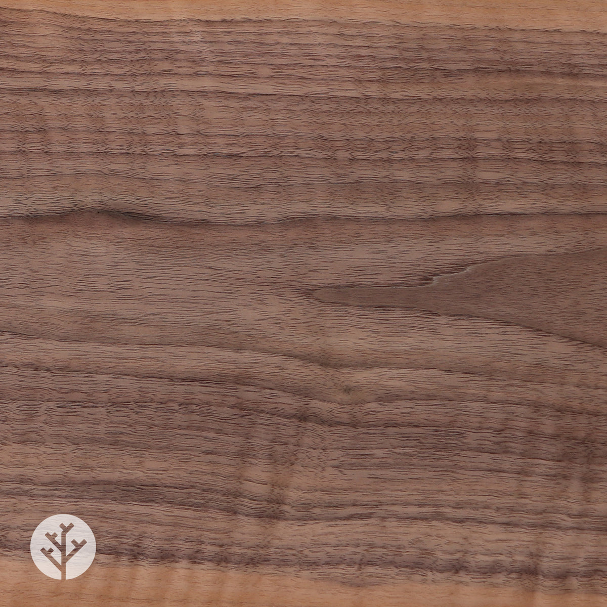 Figured American Walnut Wood Veneer