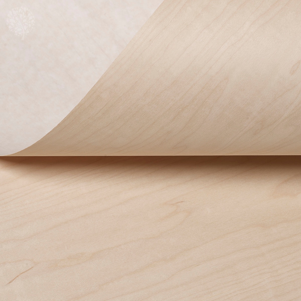American Maple Decoflex Flexible Wood Veneer